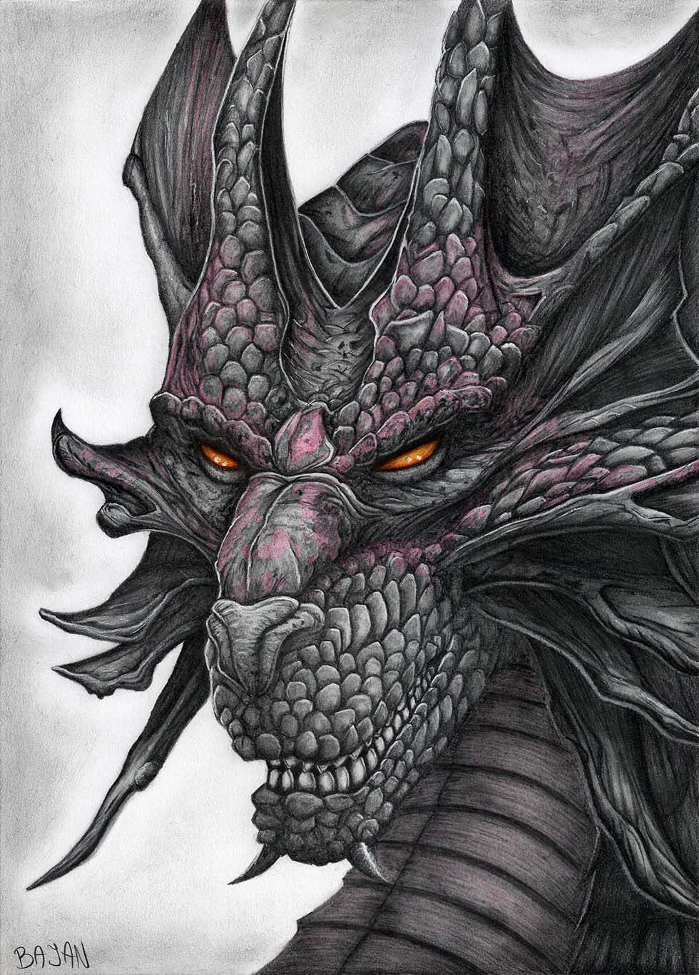 21 Realistic Dragon Drawings Free Premium Creatives 21 Realistic Dragon Drawings Free Premium Creatives