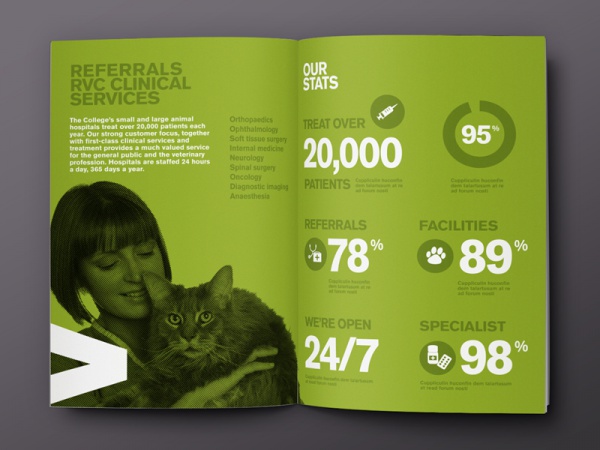 FREE 25 Service Brochure Templates In PSD AI Vector EPS InDesign 