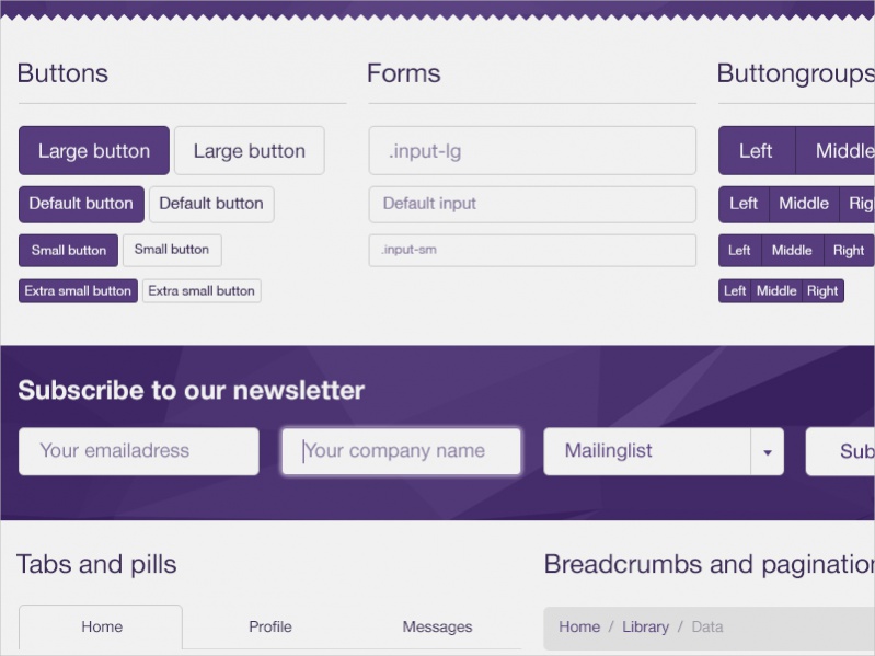 FREE 12 Form Designs In PSD Vector EPS